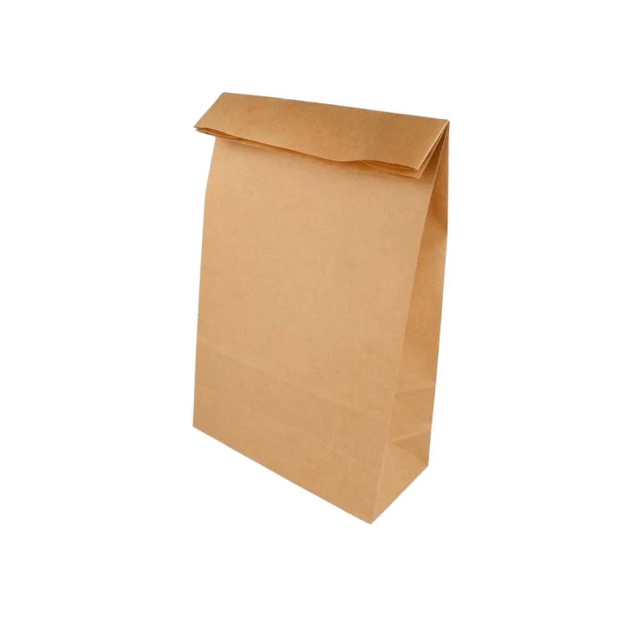 BOLSA PAPEL BASE RECTANGULAR 20 (BGP20669)